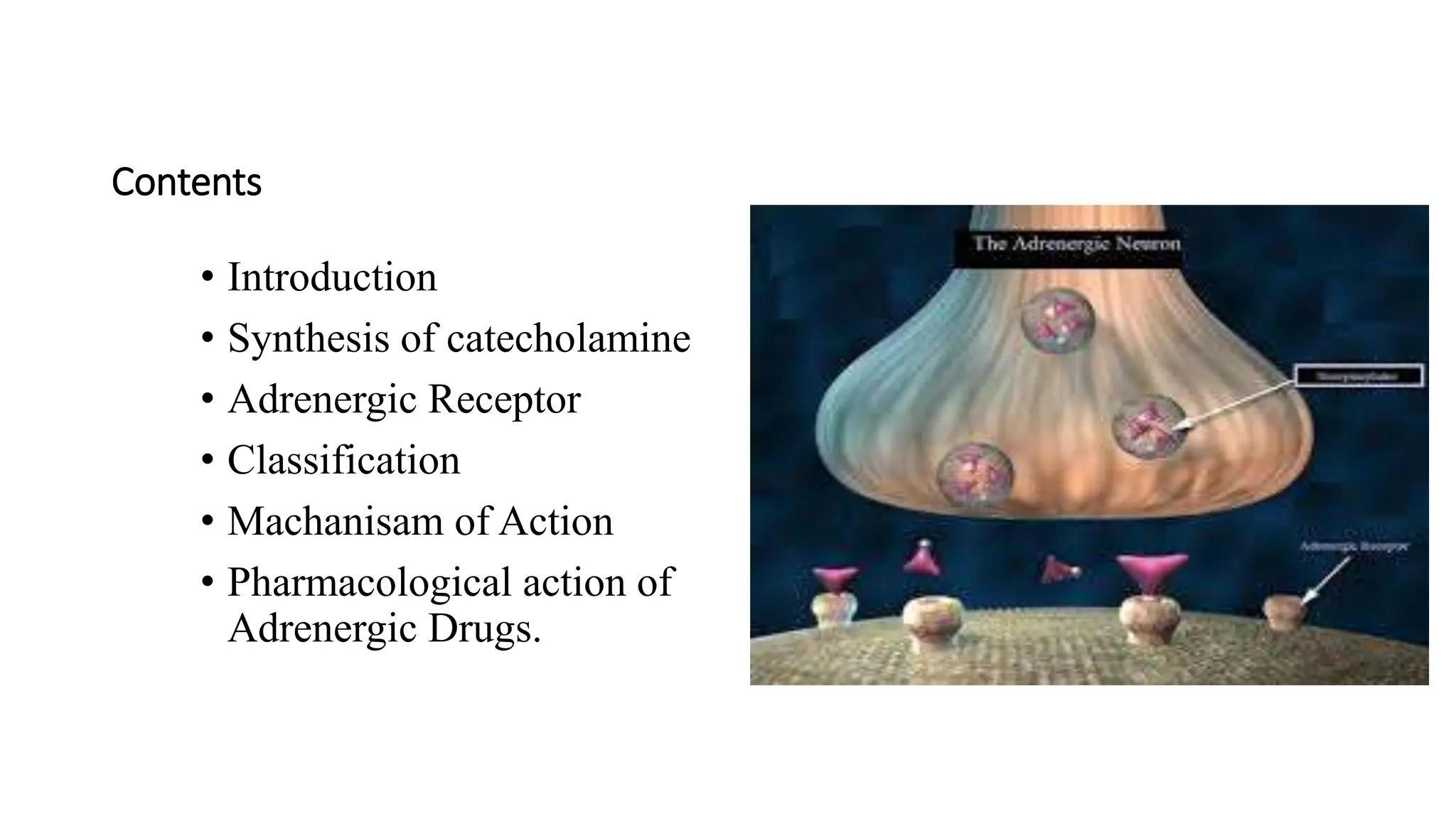 Systemic Pharmacology Of Autonomic Nervous System. Sympathomimetics ...
