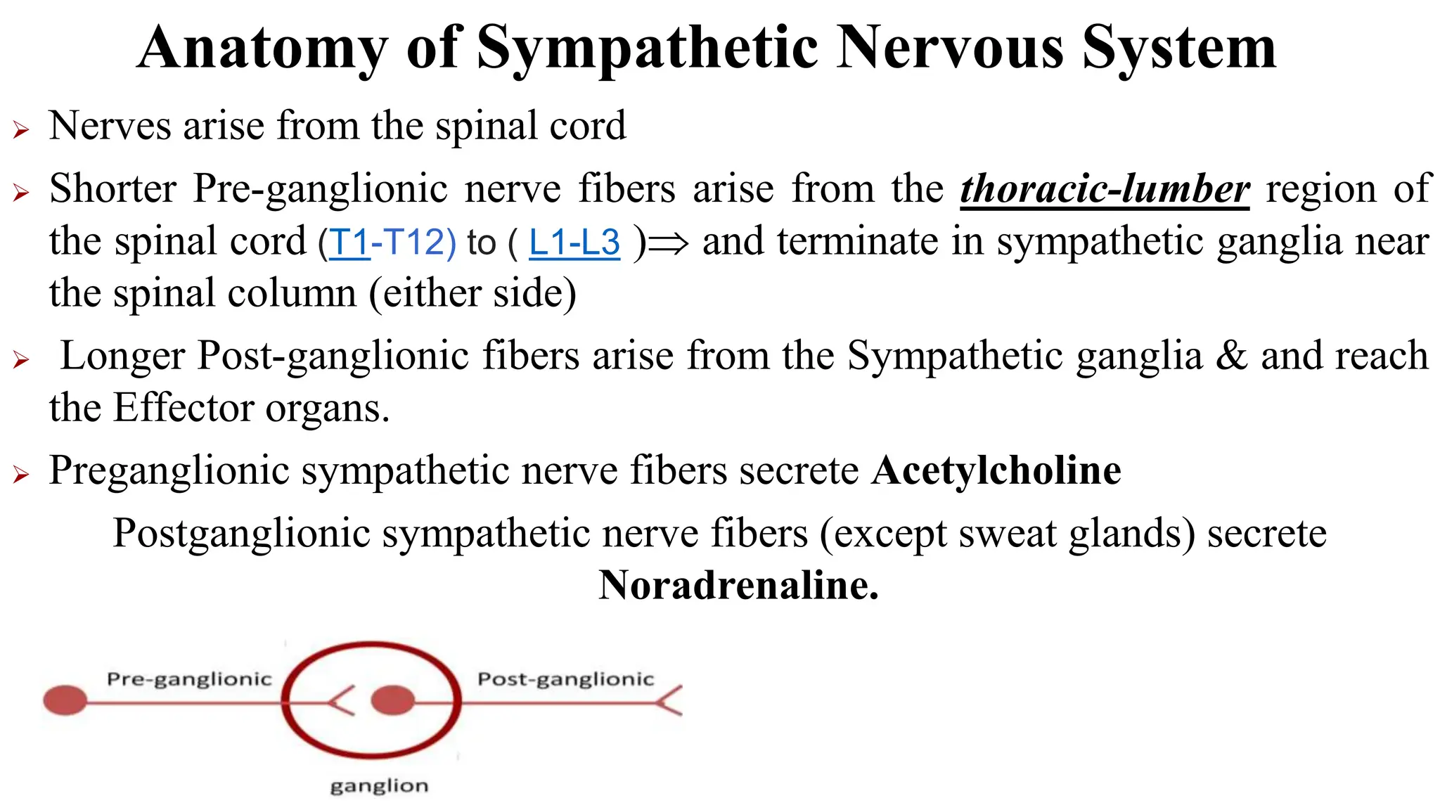 Systemic Pharmacology Of Autonomic Nervous System. Sympathomimetics ...