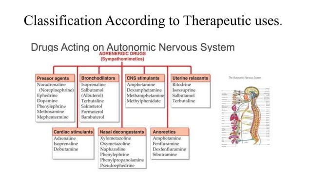 Systemic Pharmacology Of Autonomic Nervous System. Sympathomimetics ...