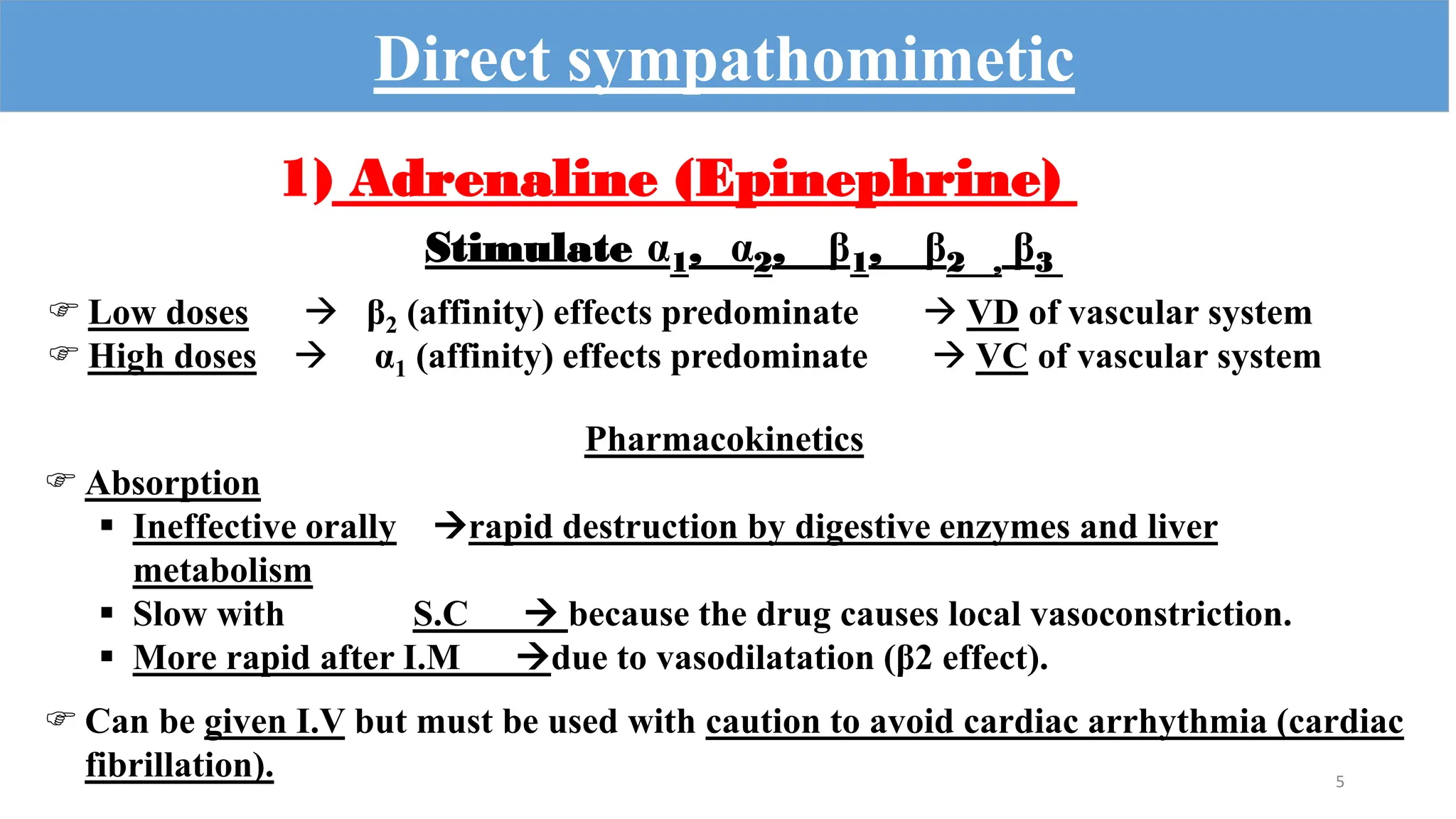 Sympathomimetics (ANS).pdf