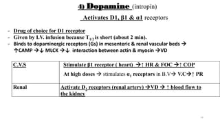 Sympathomimetics (ANS).pdf