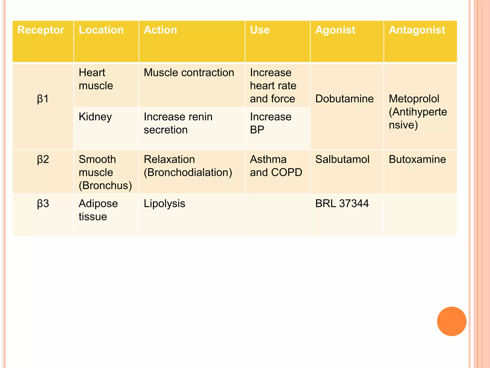 Sympathomimetics Classification and SAR.ppt