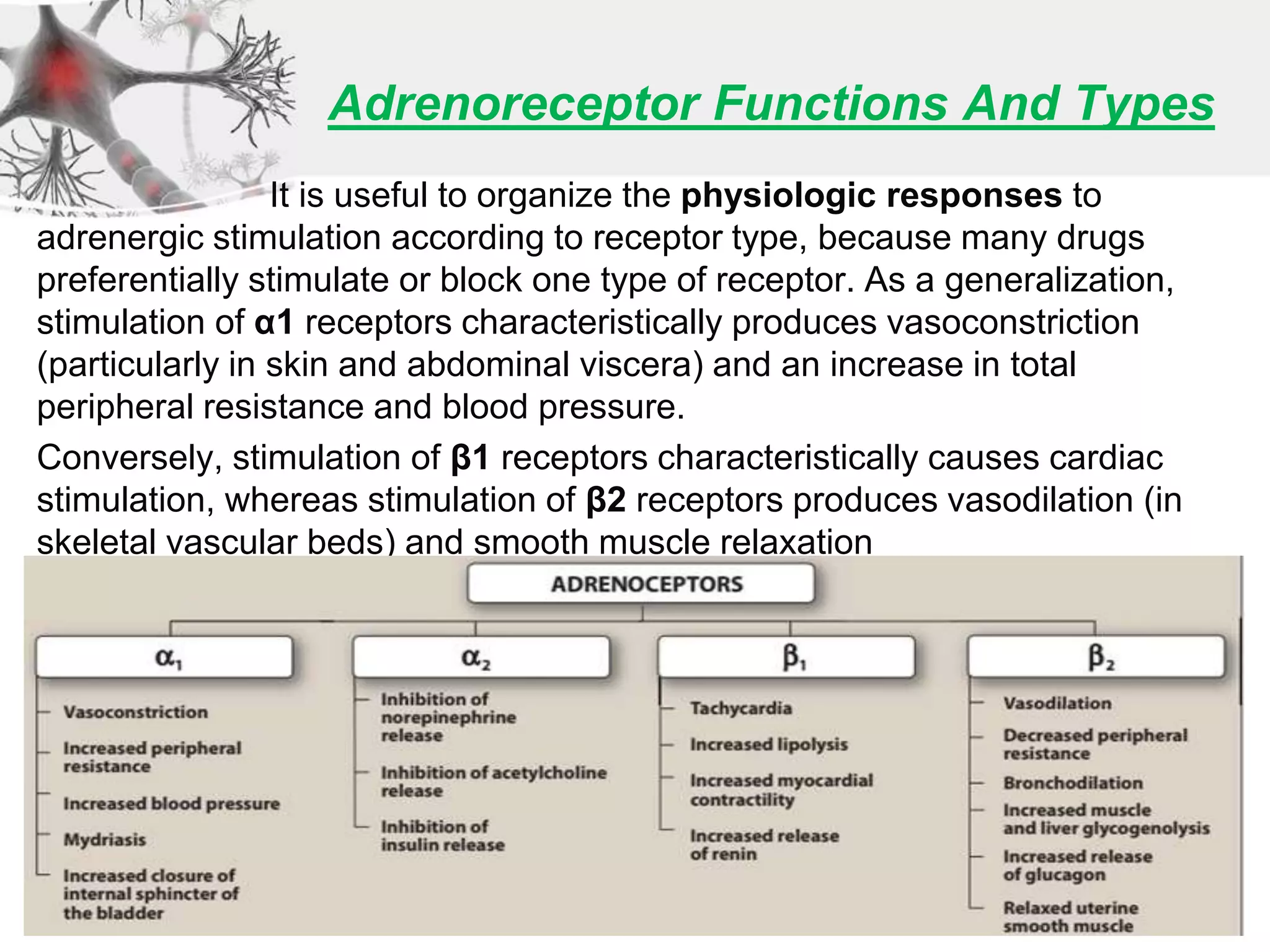 Sympathomimetics or Adrenergic Agonists (Introduction, Classification ...