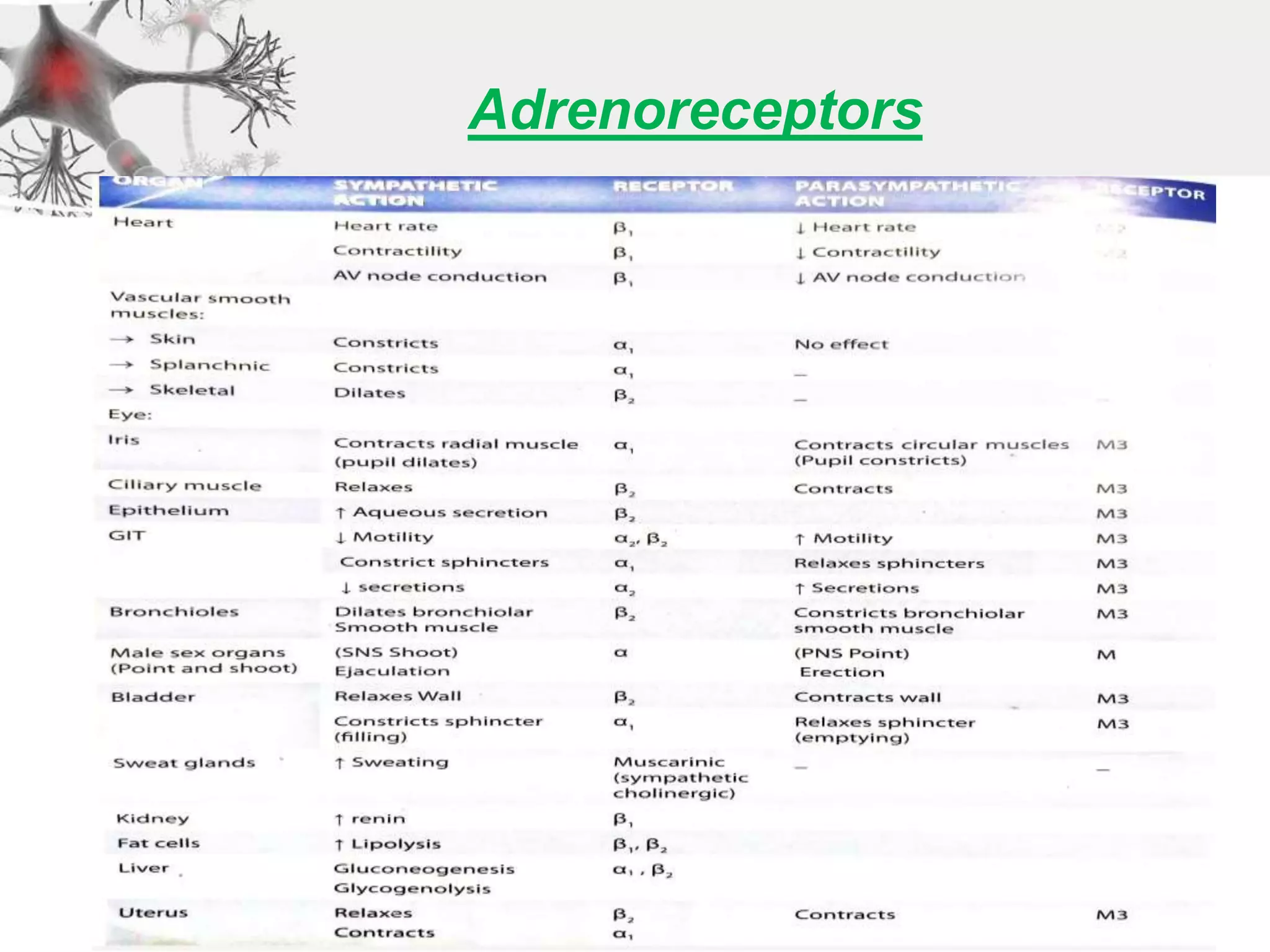 Sympathomimetics or Adrenergic Agonists (Introduction, Classification ...