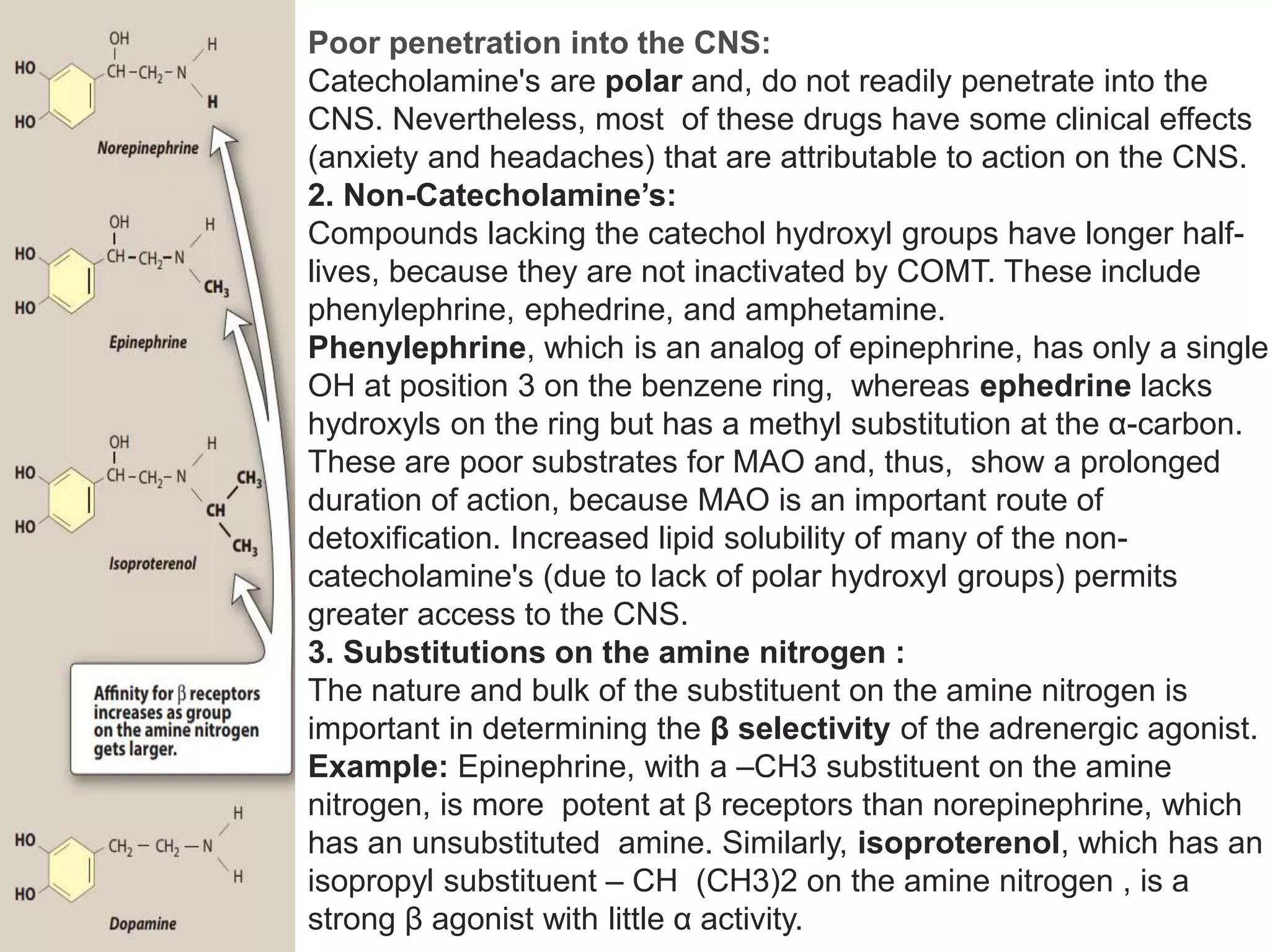Sympathomimetics or Adrenergic Agonists (Introduction, Classification ...