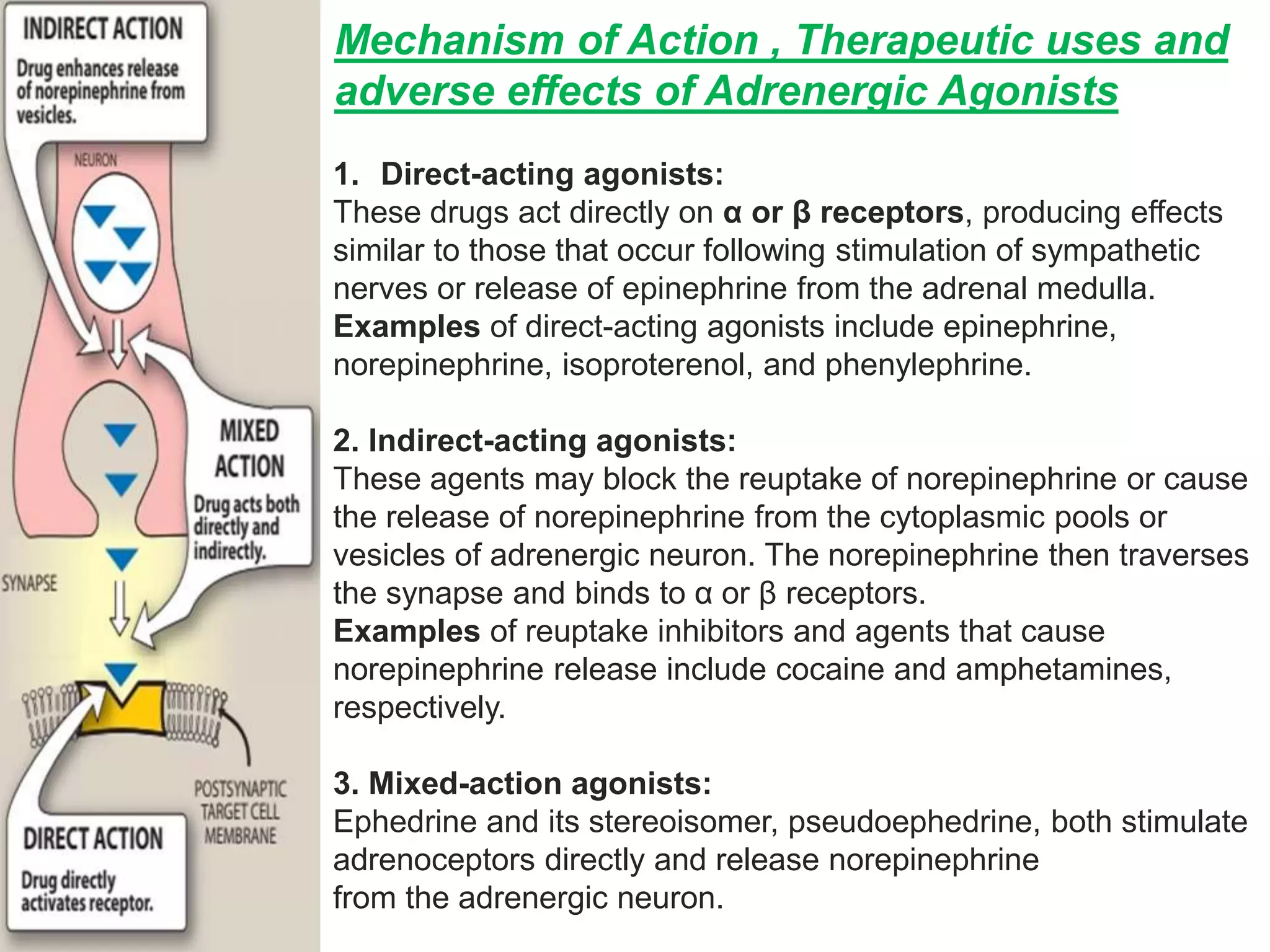 Sympathomimetics or Adrenergic Agonists (Introduction, Classification ...