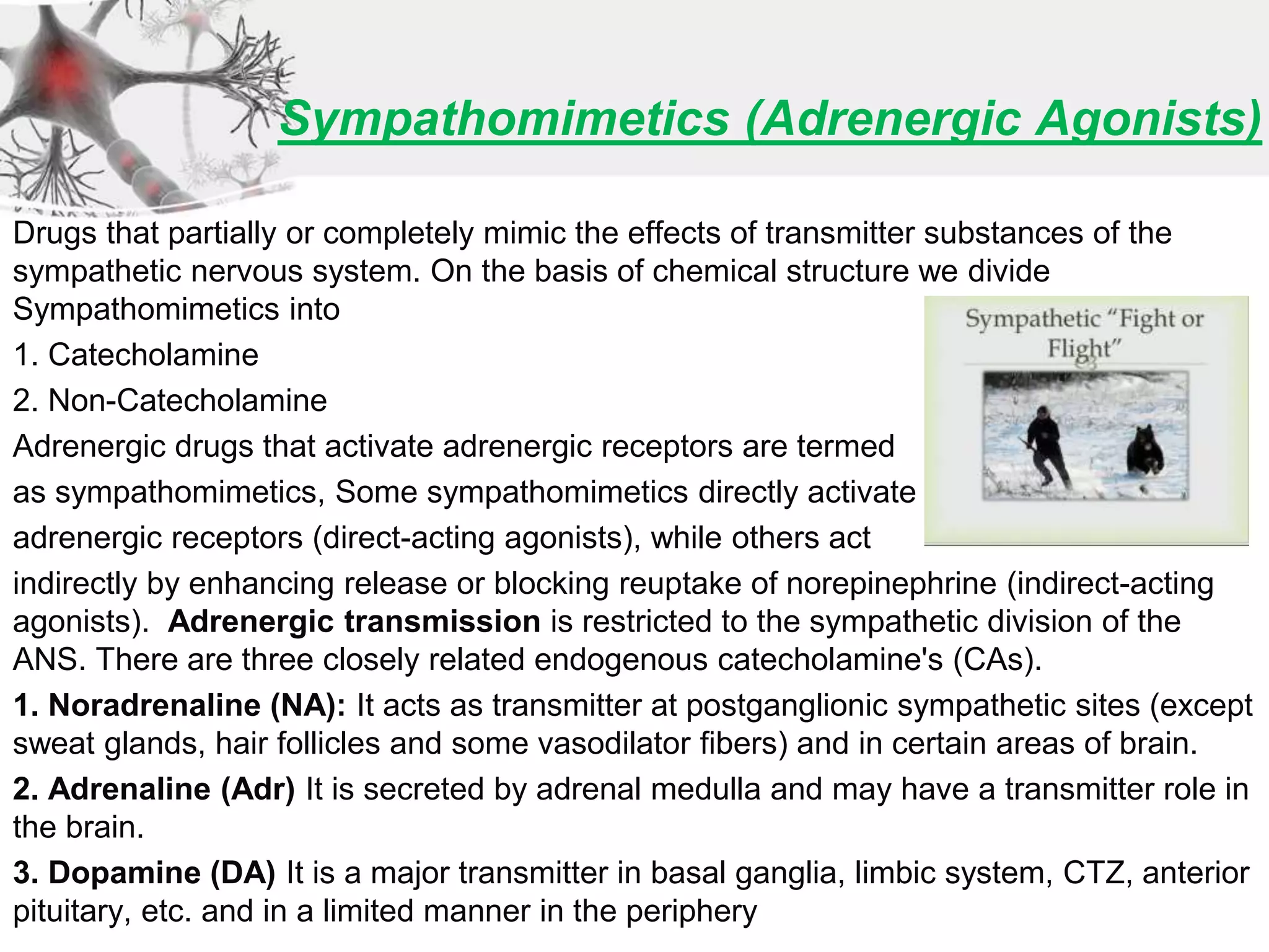 Sympathomimetics or Adrenergic Agonists (Introduction, Classification ...