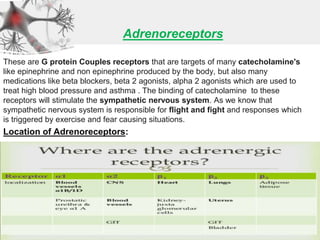 Sympathomimetics or Adrenergic Agonists (Introduction, Classification ...