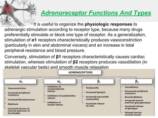 Sympathomimetics or Adrenergic Agonists (Introduction, Classification ...