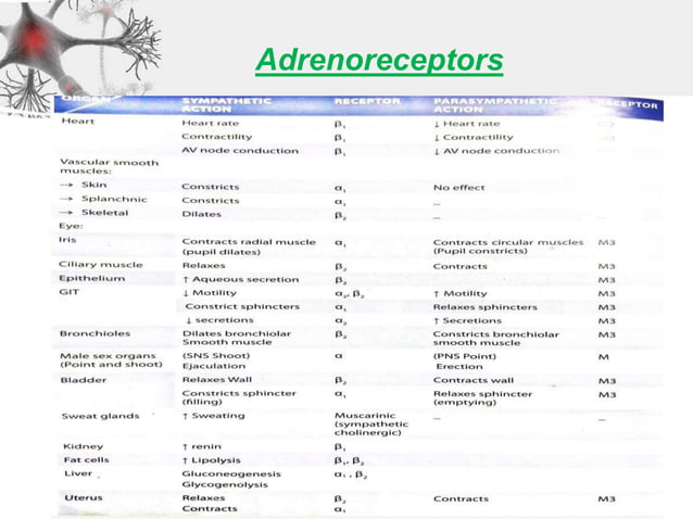 Sympathomimetics or Adrenergic Agonists (Introduction, Classification ...