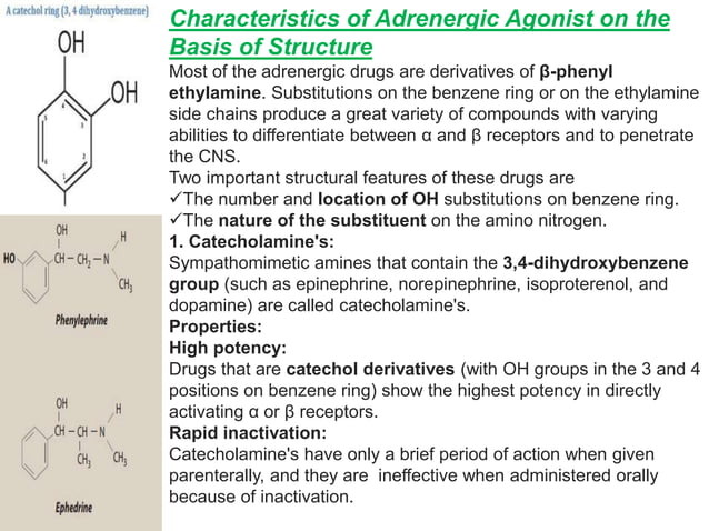 Sympathomimetics or Adrenergic Agonists (Introduction, Classification ...