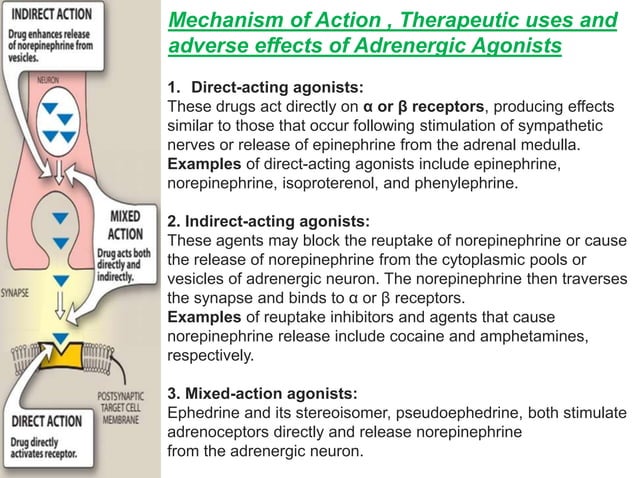 Sympathomimetics or Adrenergic Agonists (Introduction, Classification ...