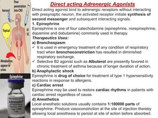 Sympathomimetics or Adrenergic Agonists (Introduction, Classification ...