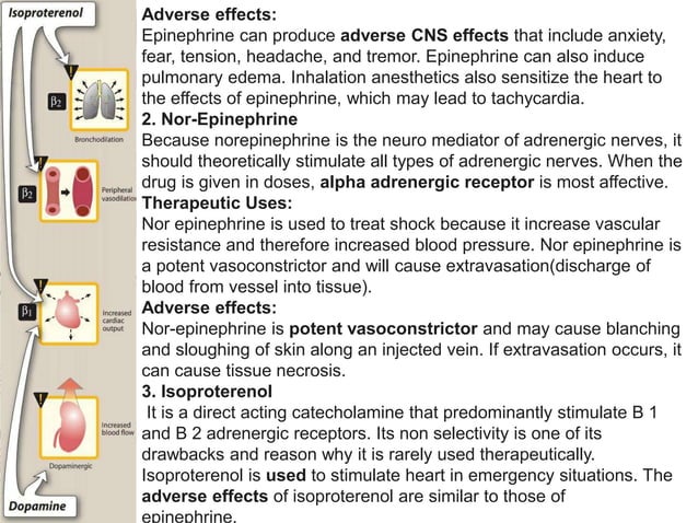 Sympathomimetics or Adrenergic Agonists (Introduction, Classification ...