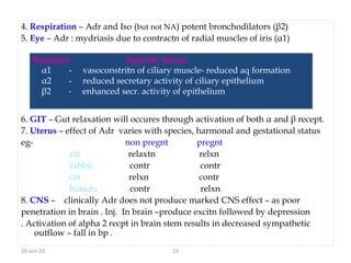 SympathomimiticsPpt2003 (2).ppt