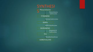 SYMPATHOMIMTIC AND SYMPATHOLYTICS DRUGS.pptx | Heart and Cardiovascular ...