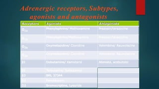 SYMPATHOMIMTIC AND SYMPATHOLYTICS DRUGS.pptx