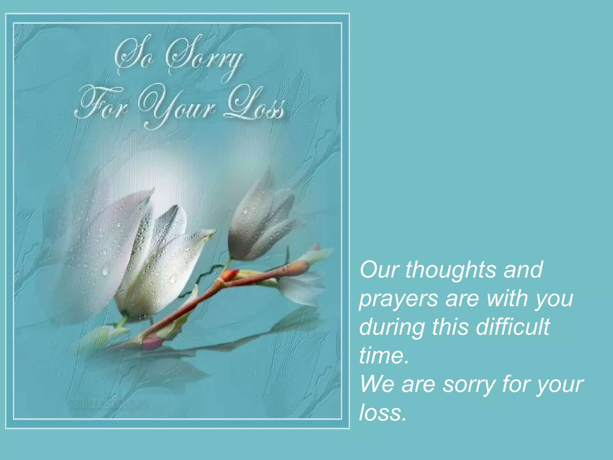 Sympathy | PPS