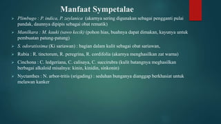 Sympetalae | PPTX