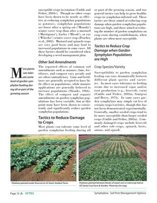 Symphylans: Soil Pest Management Options | PDF