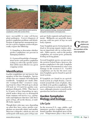 Symphylans: Soil Pest Management Options | PDF