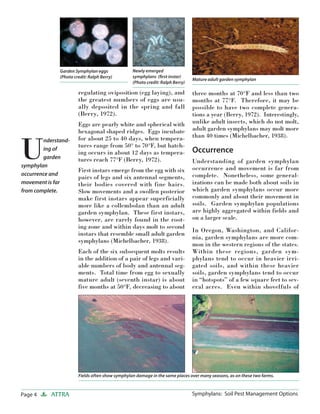 Symphylans: Soil Pest Management Options | PDF