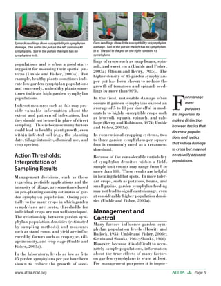 Symphylans: Soil Pest Management Options | PDF