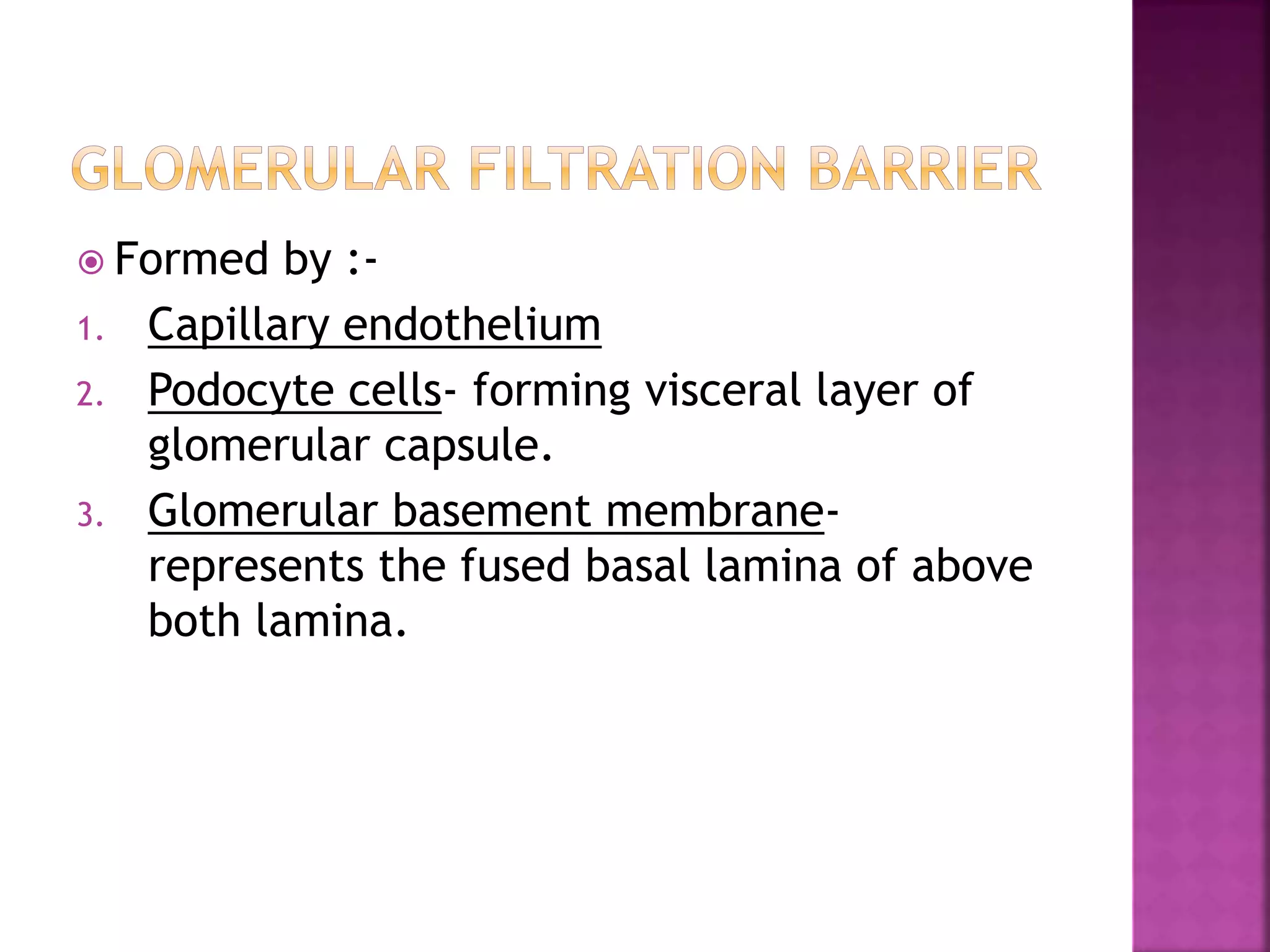 Histology of Glomerulus | PPTX