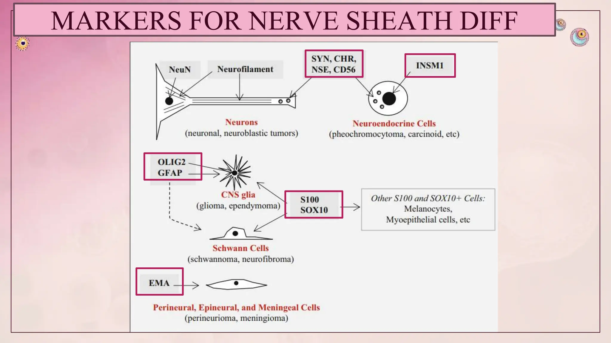 IHC in cancer diagnosis | PPTX