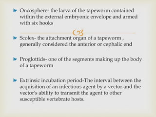 Taenia Solium and Taenia Saginata | PPTX