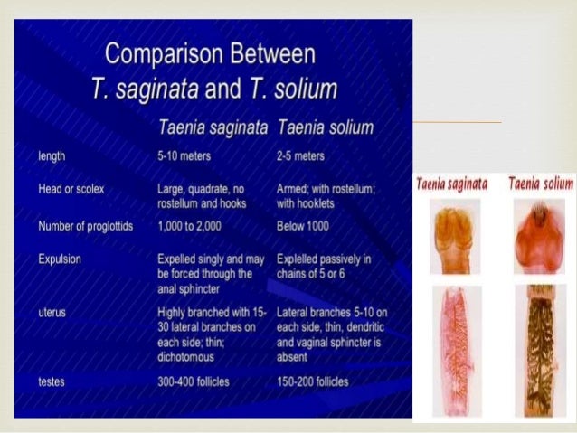 Taenia Solium and Taenia Saginata