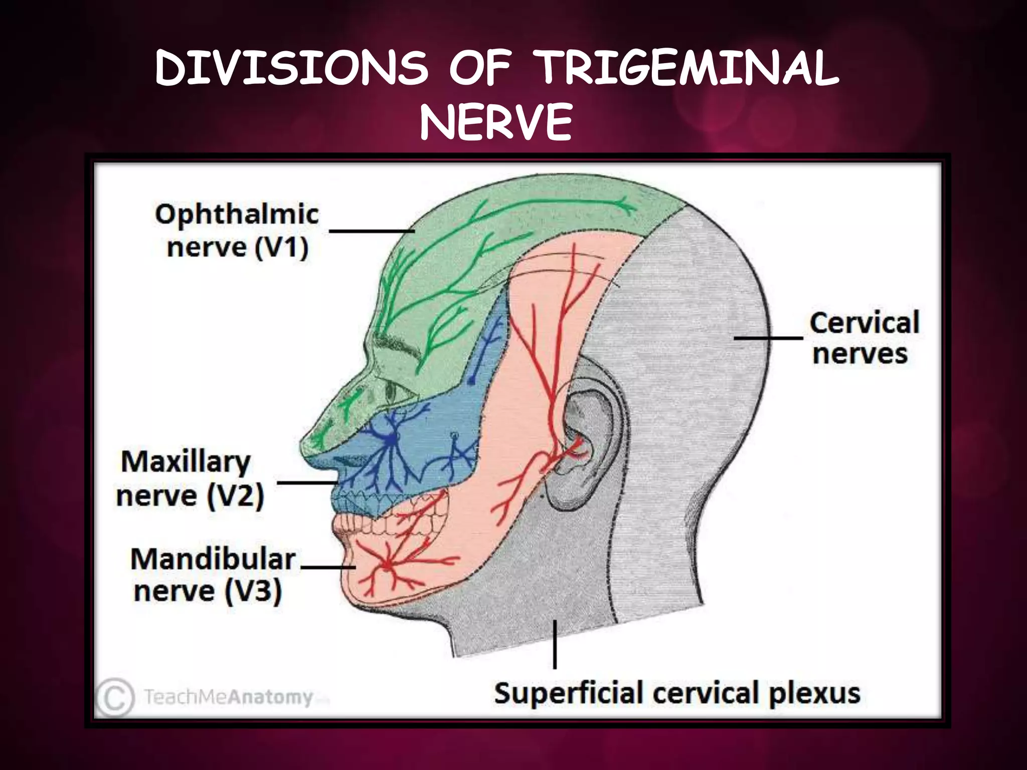 Symptomatology and pathophysiology of trigeminal neuralgia copy | PPTX