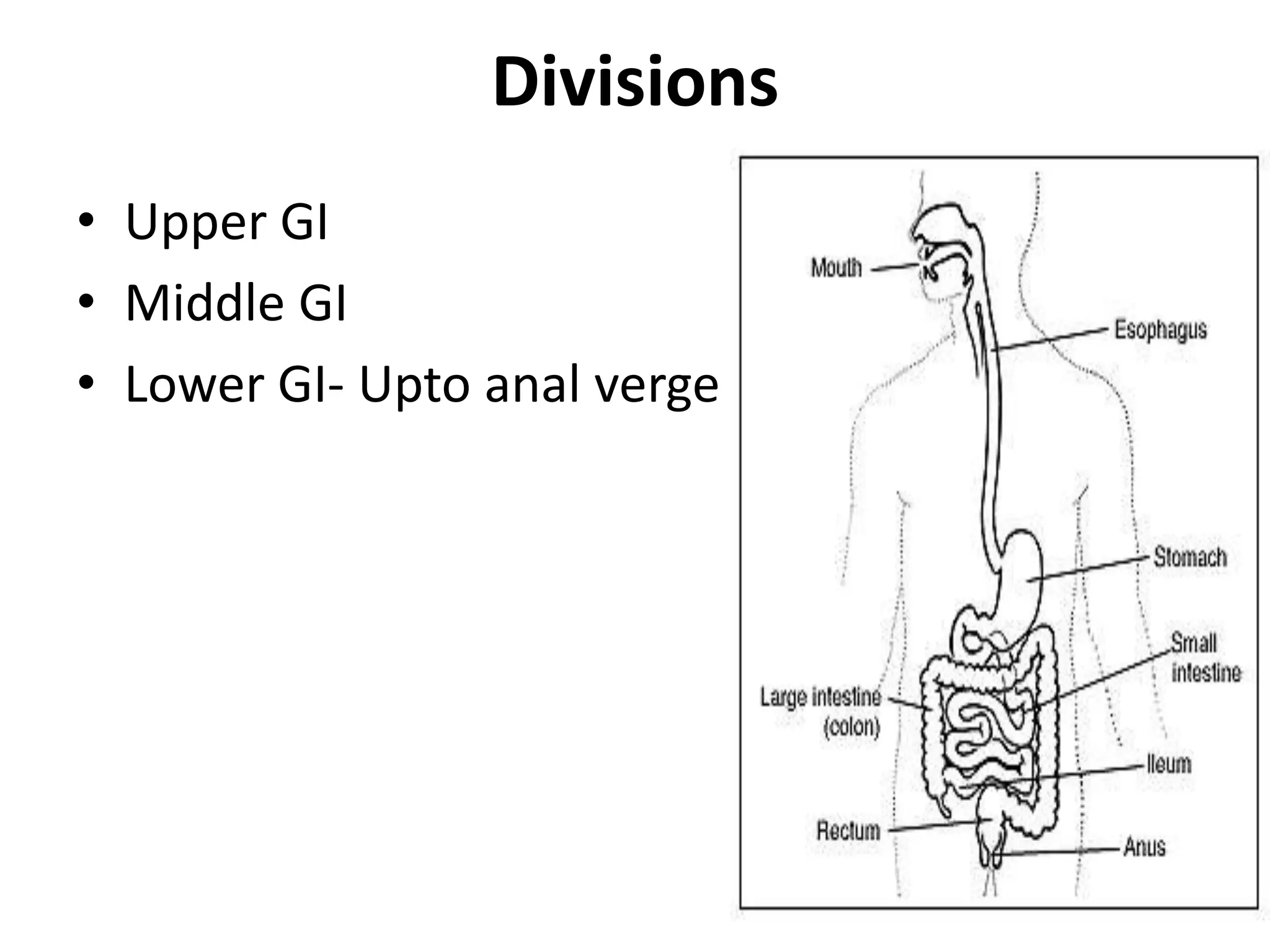 Symptomatology of Gastrointestinal System | PPTX