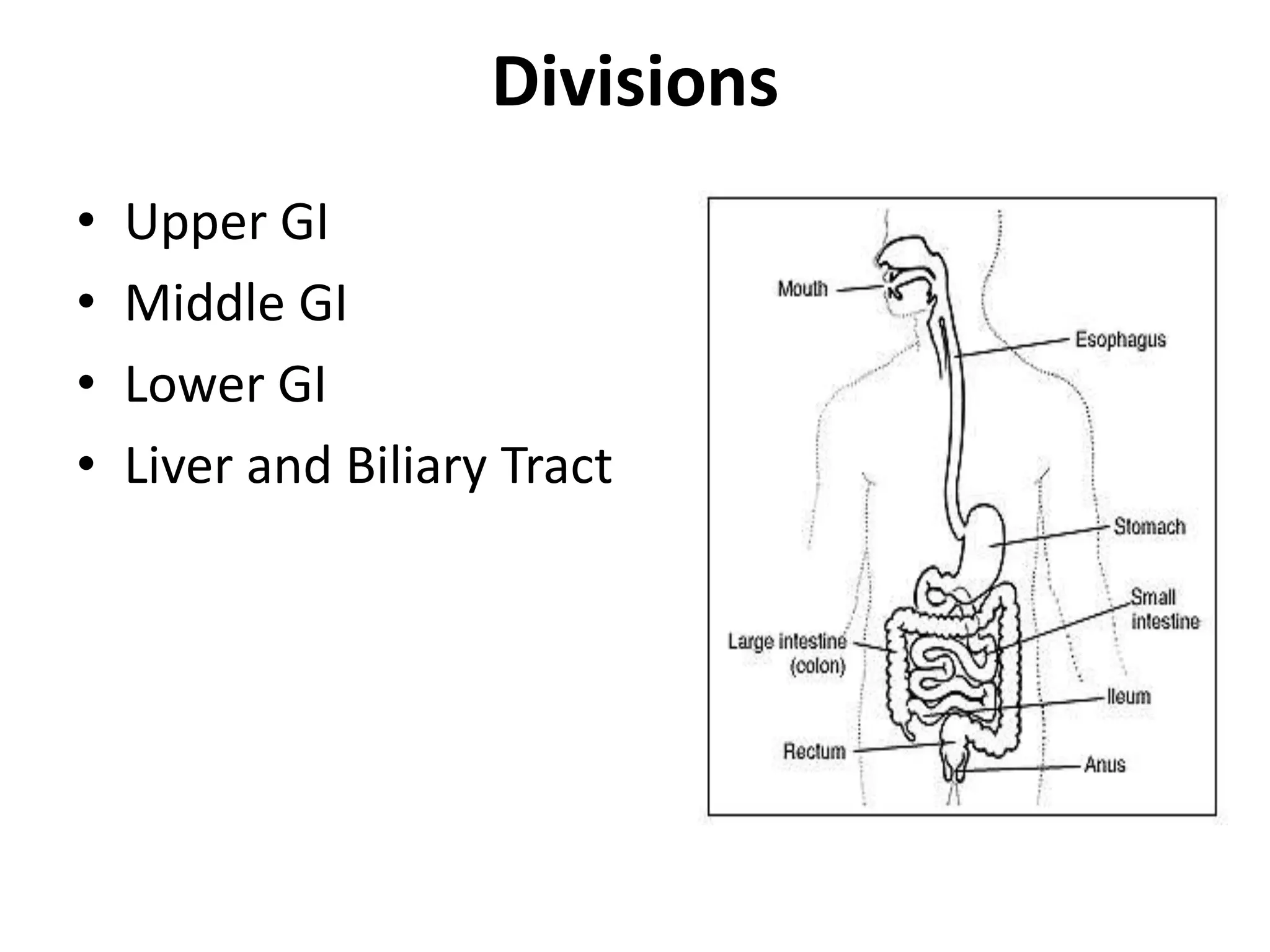 Symptomatology of Gastrointestinal System | PPTX