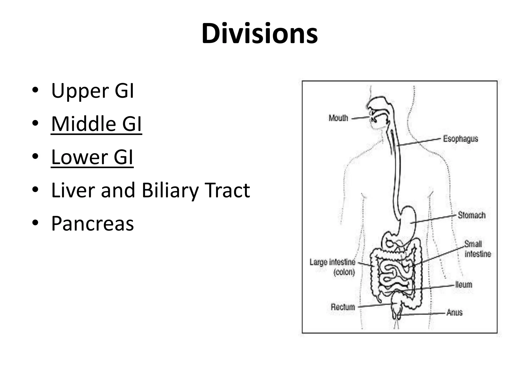 Symptomatology of Gastrointestinal System | PPTX