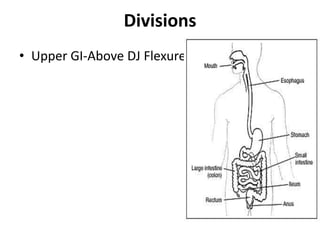 Symptomatology of Gastrointestinal System | PPTX