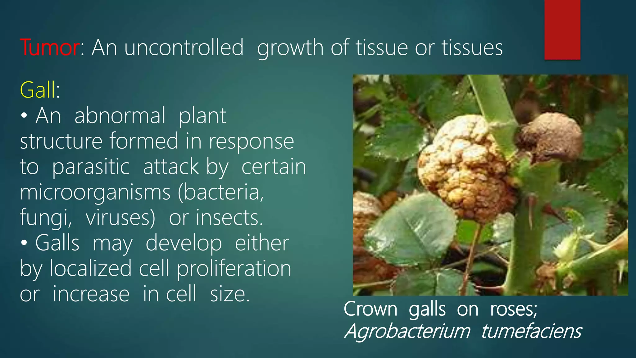 Symptoms of plant disease (symptomology) | PPTX