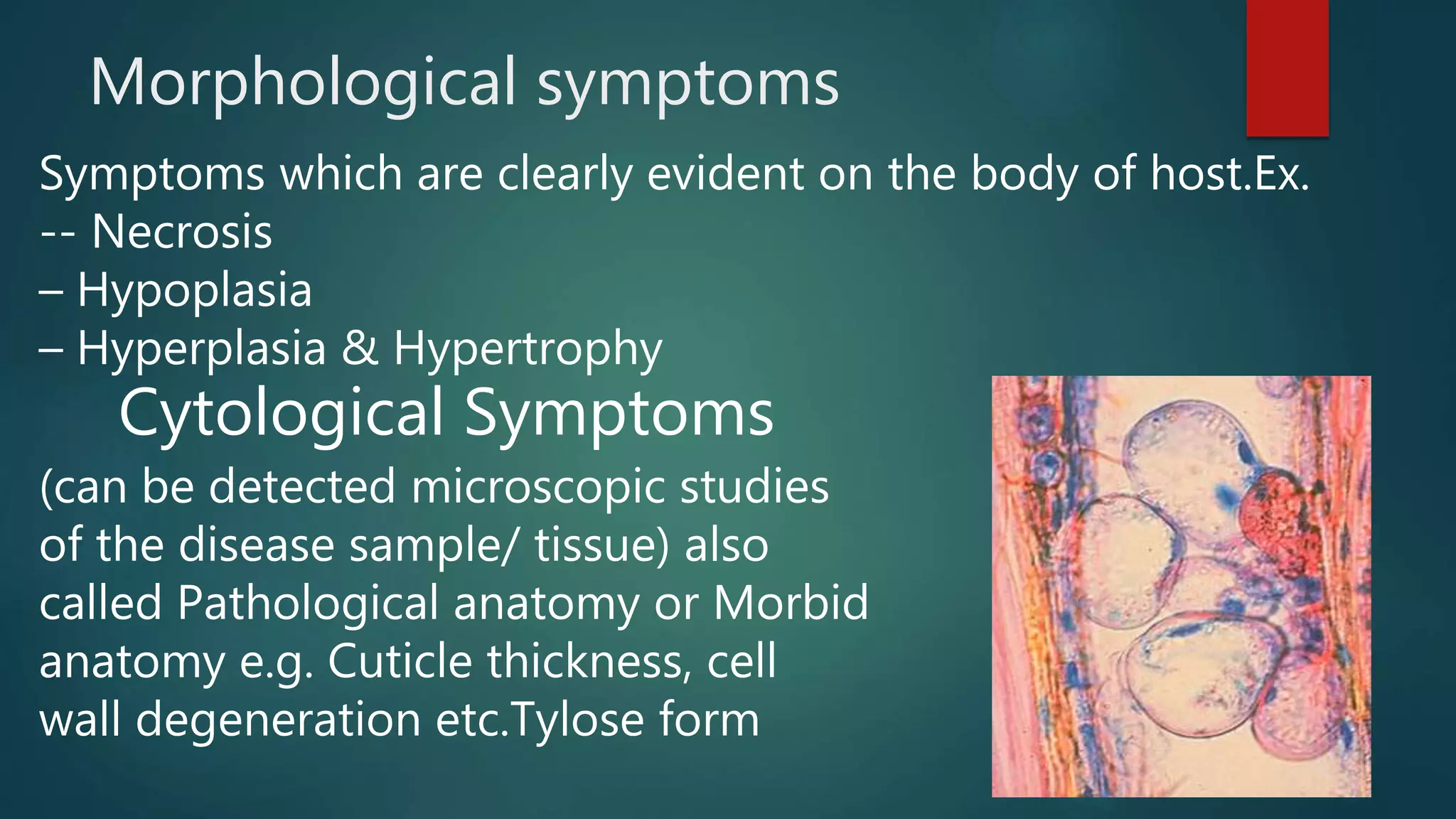 Symptoms of plant disease (symptomology) | PPTX