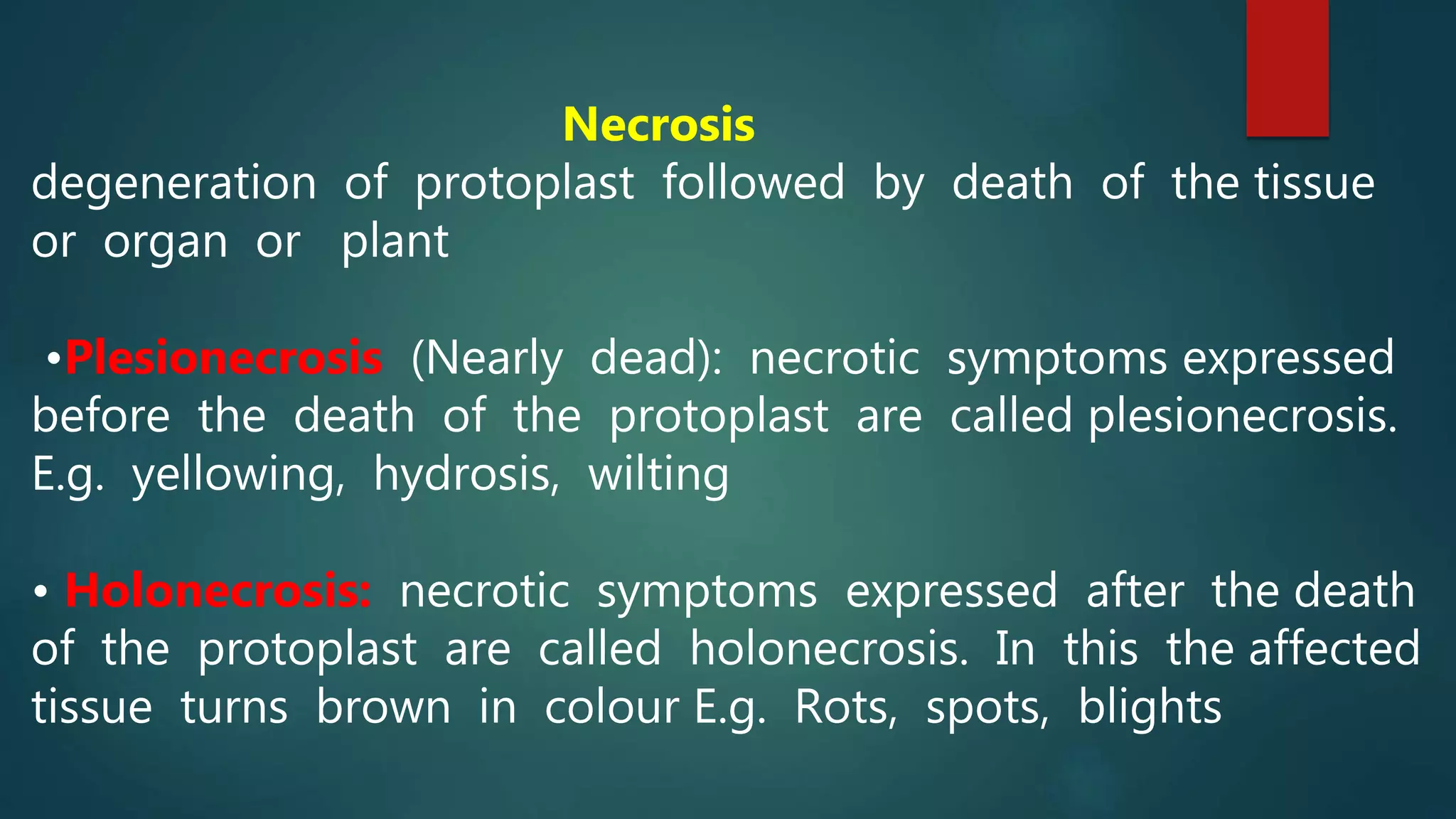 Symptoms of plant disease (symptomology) | PPTX