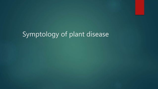 Symptoms of plant disease (symptomology) | PPTX