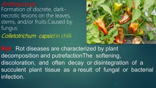 Symptoms of plant disease (symptomology) | PPTX