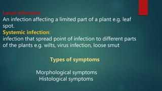 Symptoms of plant disease (symptomology) | PPTX