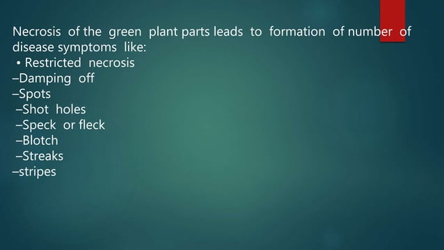 Symptoms of plant disease (symptomology) | PPTX
