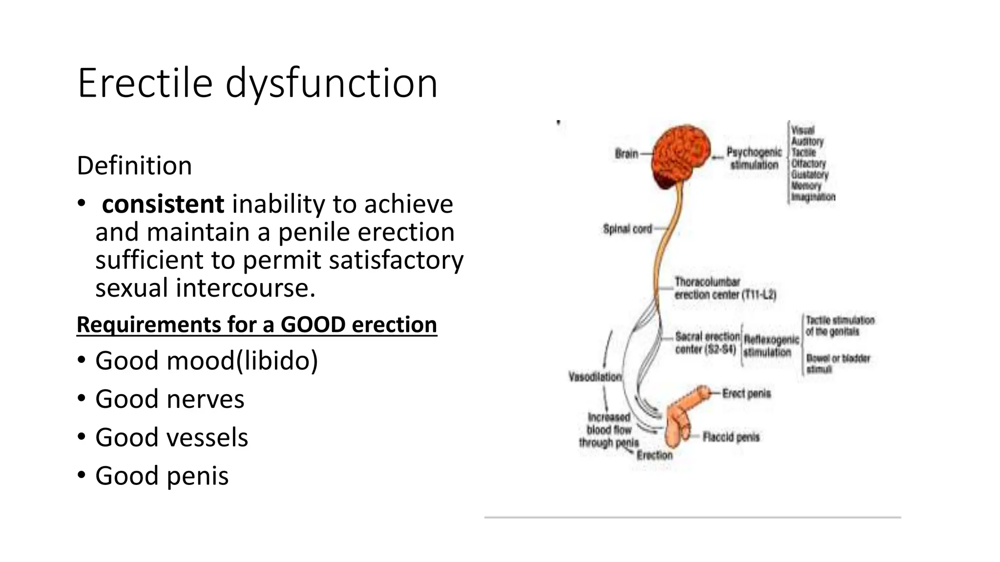 Signs and Symptoms of Genitourinary diseases 20Diseases.pptx