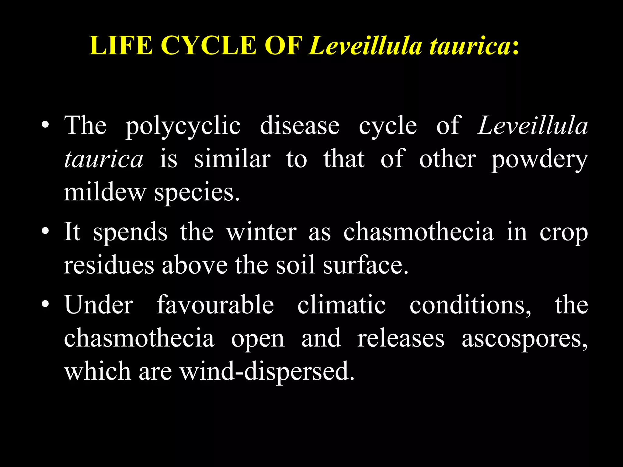 Symptoms, host range, taxonomy and life cycle of Leveillula | PPTX