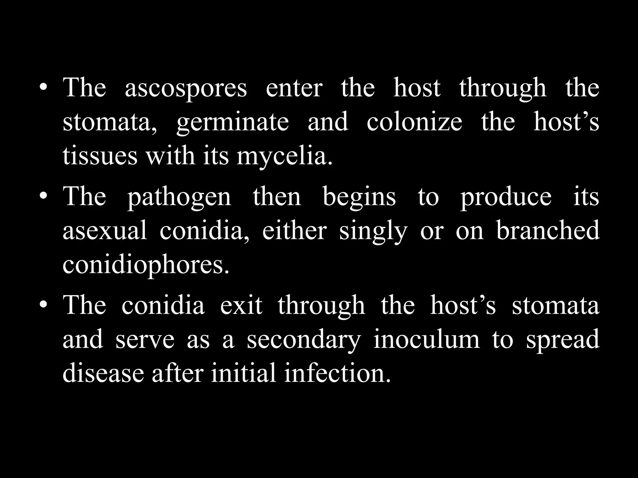 Symptoms, host range, taxonomy and life cycle of Leveillula | PPTX ...