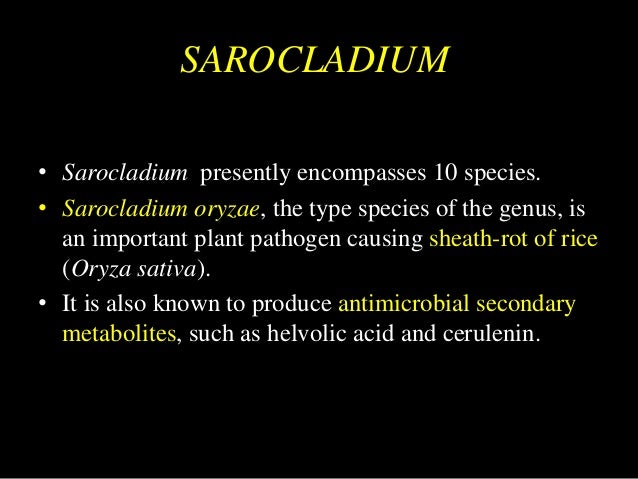 Symptoms, host range, taxonomy and life cycle of sarocladium