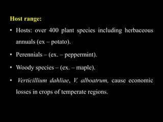 Symptoms, host range, taxonomy and life cycle of verticillium | PPTX