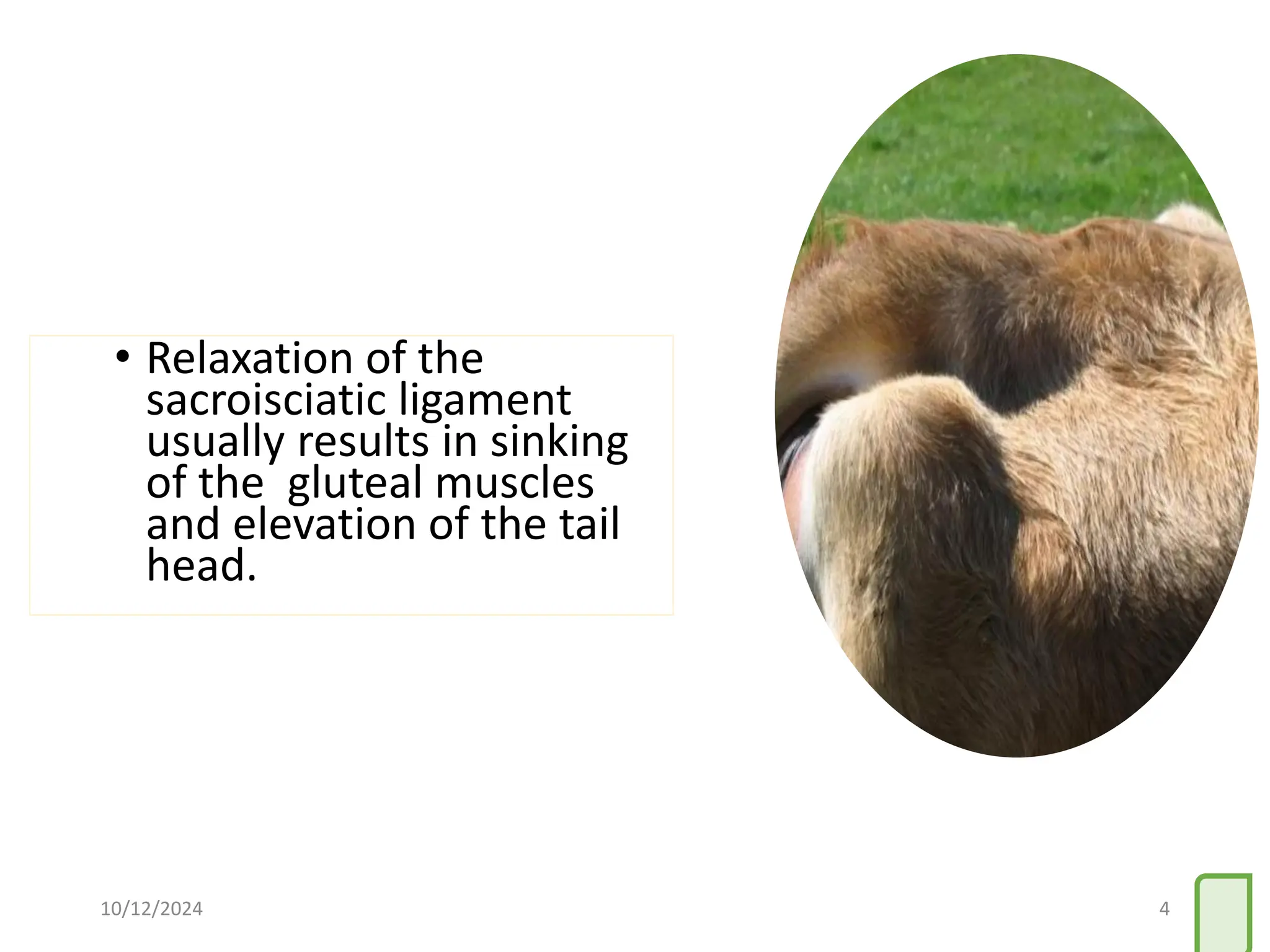 SYMPTOMS OF APPROACHING PARTURITION..pdf