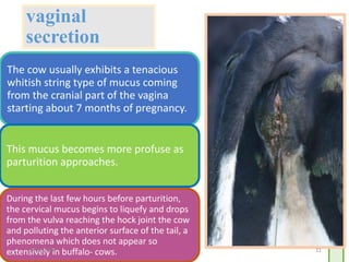 SYMPTOMS OF APPROACHING PARTURITION..pdf